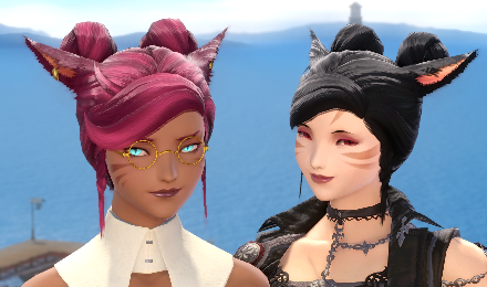 Aether Link - F Miqo Hair 12 Buns