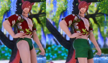 Aether Link - Isle Vacationer's Shorts and Tanga TBSE Type 5c Bara Curvy (with and without bulge)
