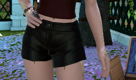 Aether Link - Makai Quartertights Bibo Small