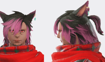 Aether Link - Ponytail in back (m miqo)