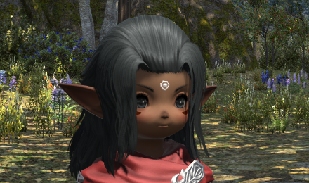 Aether Link - Elpis-Selch Femme-Lala Hair