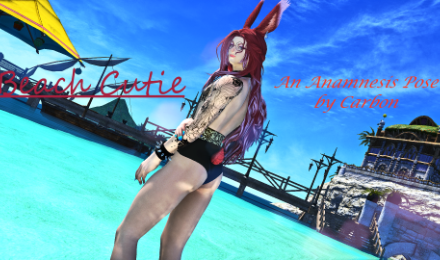 Aether Link - Beach Cutie